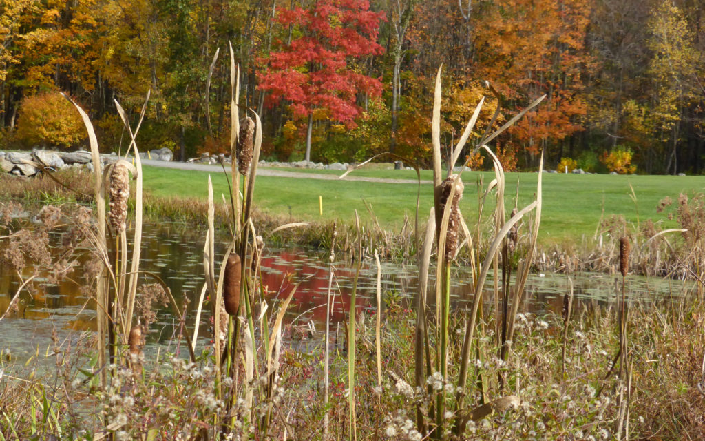 Joseph - Dealing with Famine in Egypt