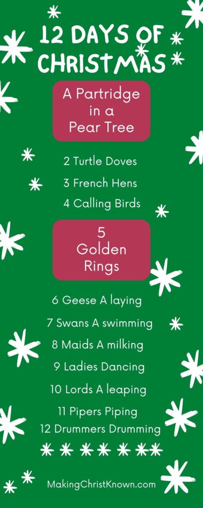 12 Days of Christmas Infographic