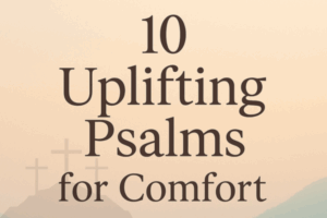 Top 10 Psalms for Comfort